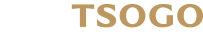 playTSOGO